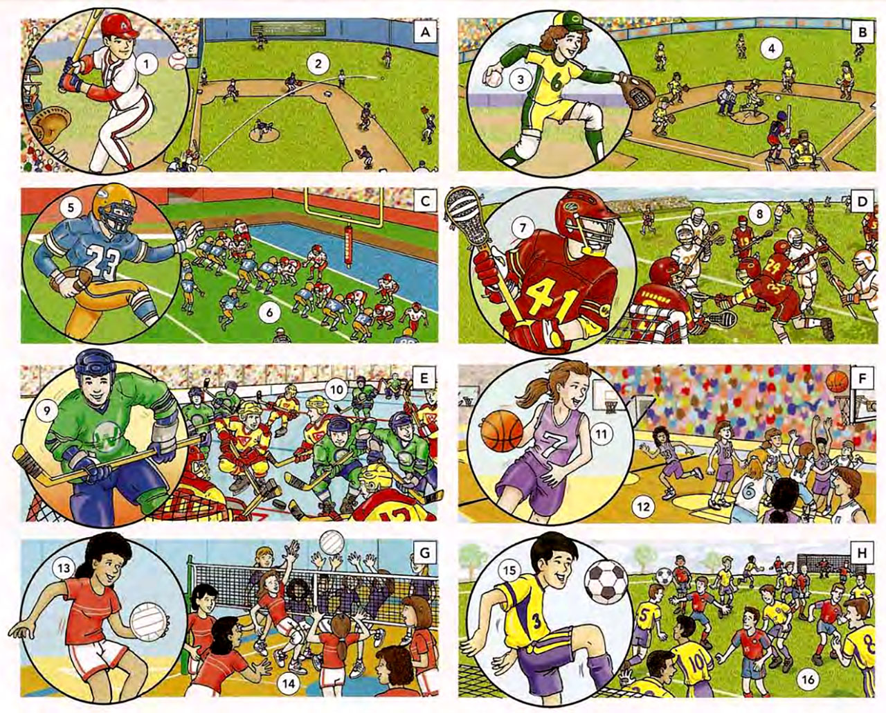 Learn Vocabulary Through Pictures - Team Sports - ESL Tasks